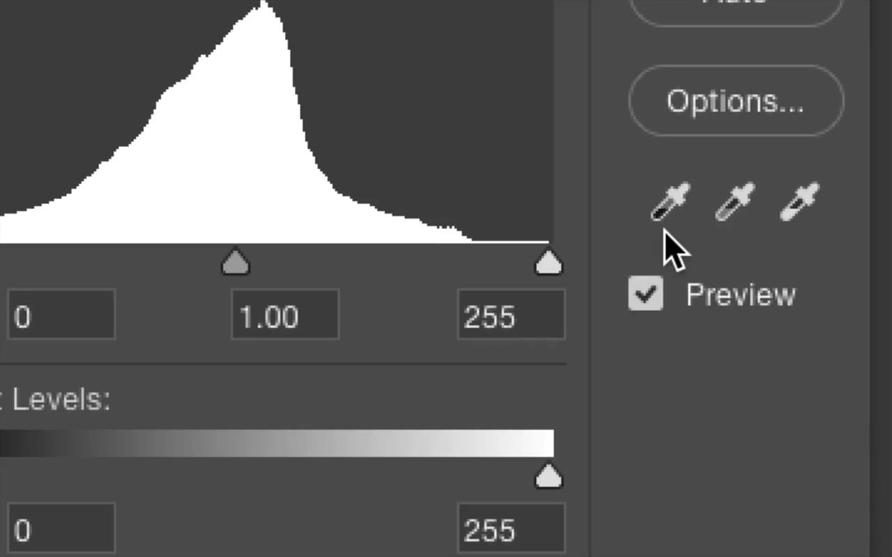 Levels Setting Your White Black Points - Quick Photoshop Tutorial