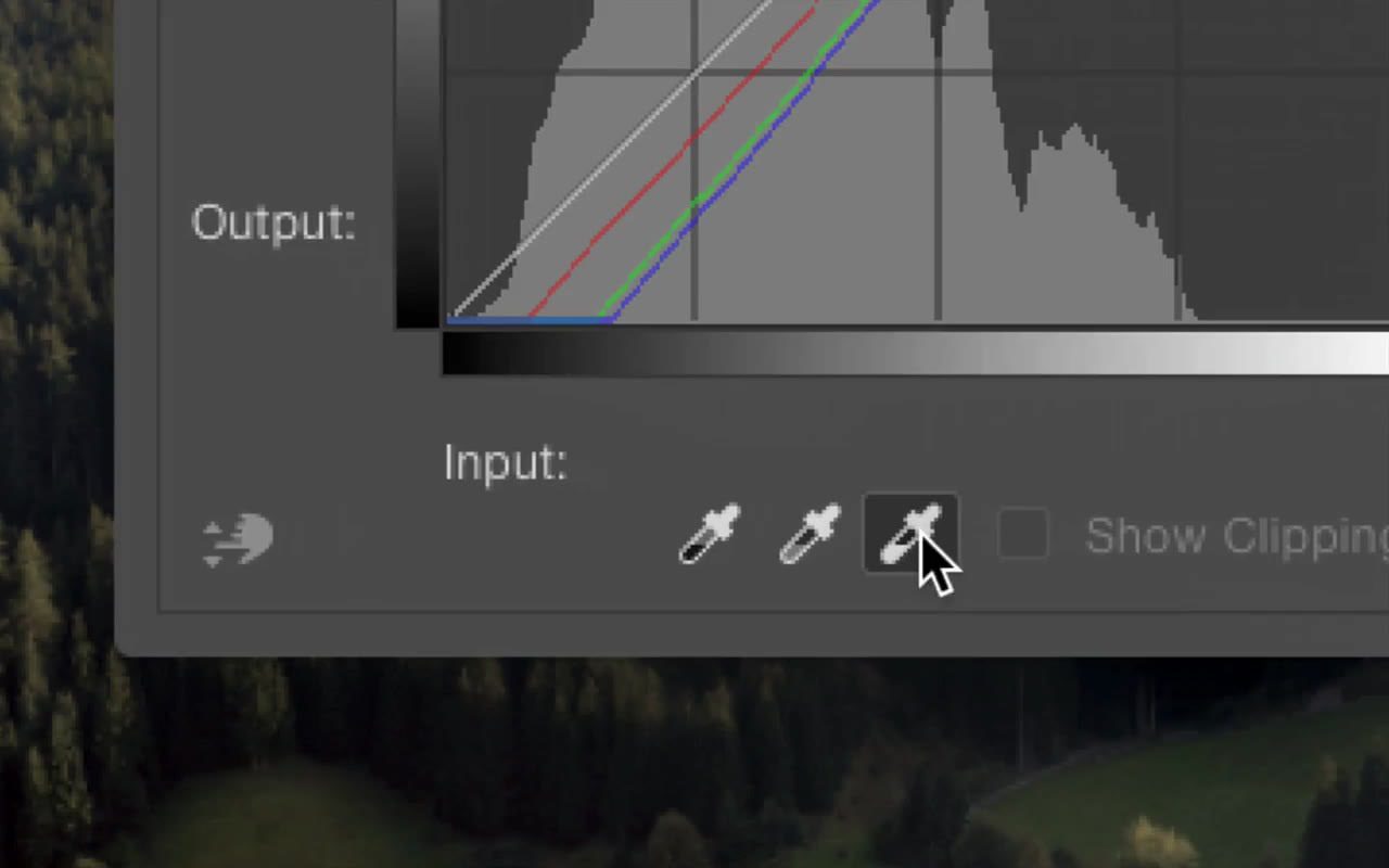 Curves Setting Your Highlights Shadows - Quick Photoshop Tutorial