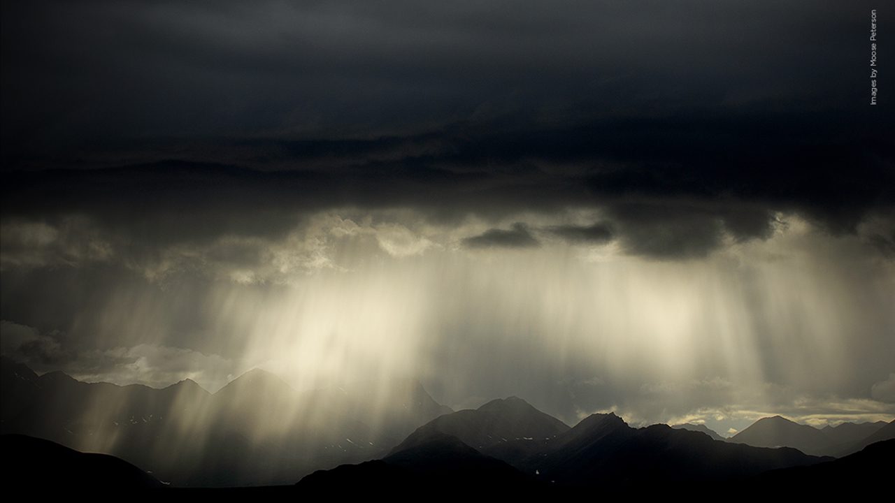 Using Light to Bring Emotion into Your Images - Online Photography Course