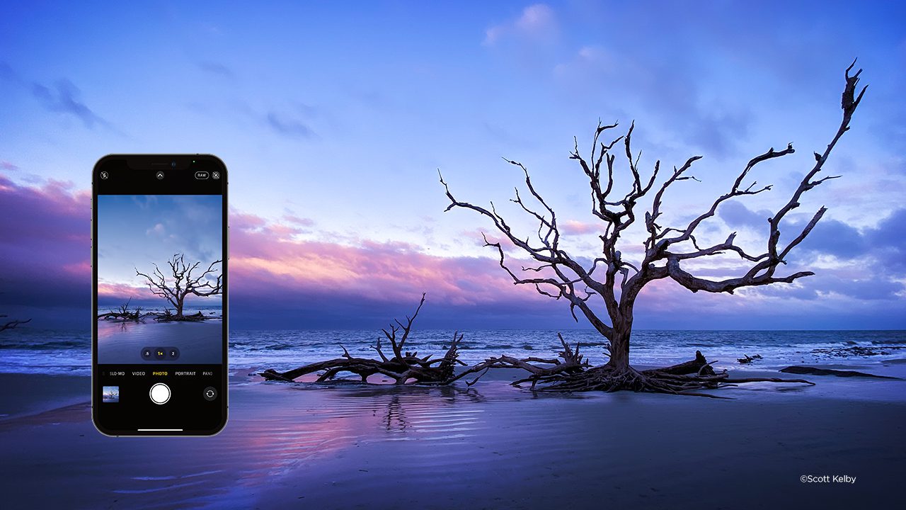 Beginner's Guide to iPhone Photography - Online Photography Course