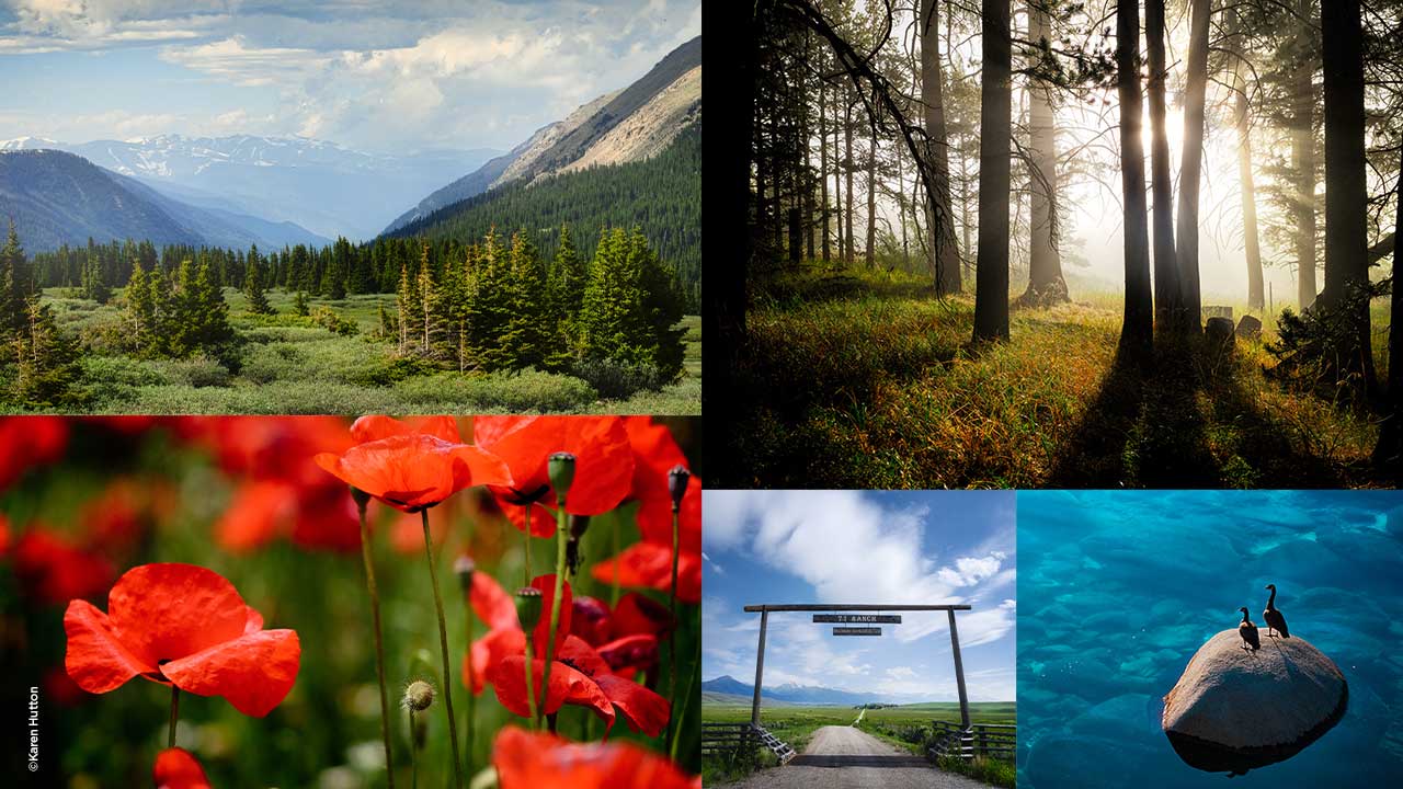 Landscape Photography: Maximizing a Location - Online Photography Course