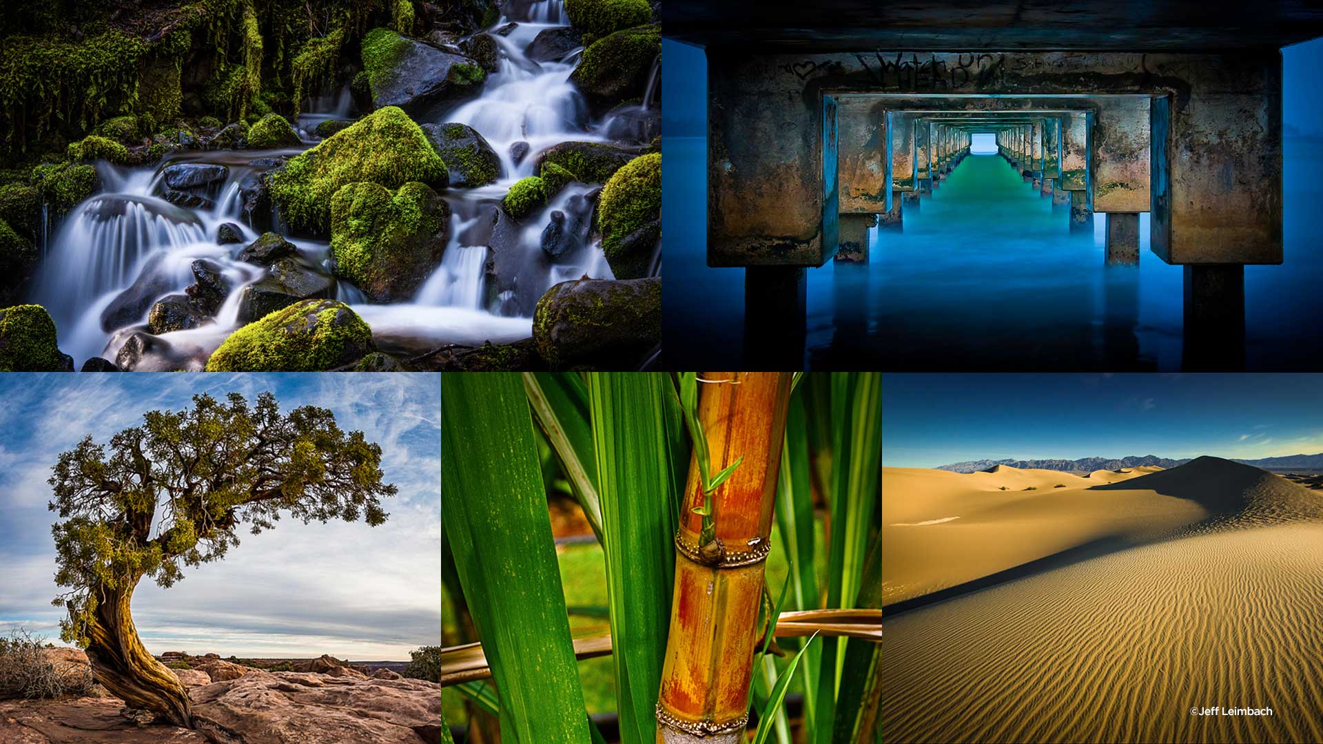 Landscape Photography Basics - Online Photography Course