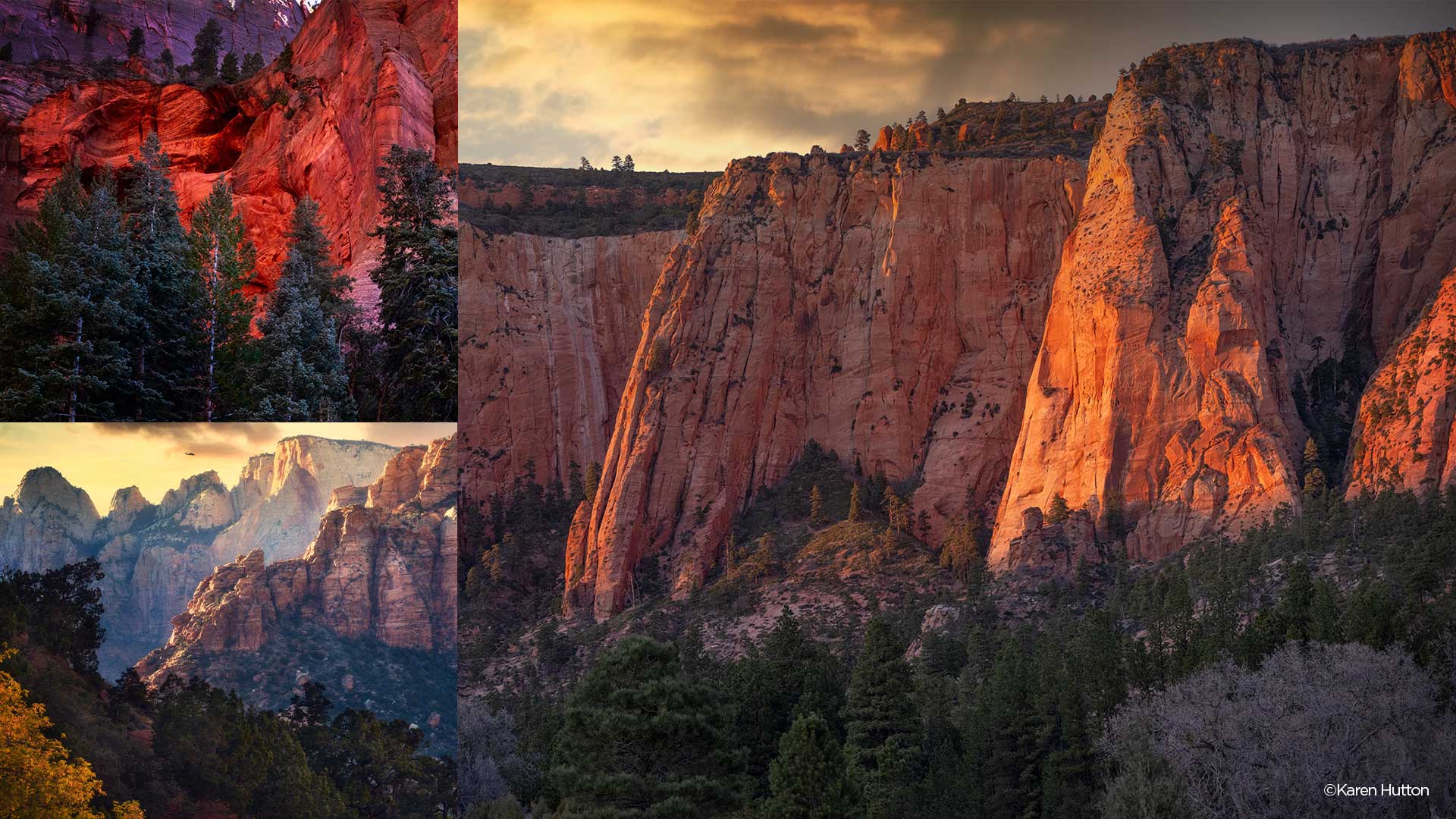 National Parks: A Photographer's Guide to Zion - Online Photography Course